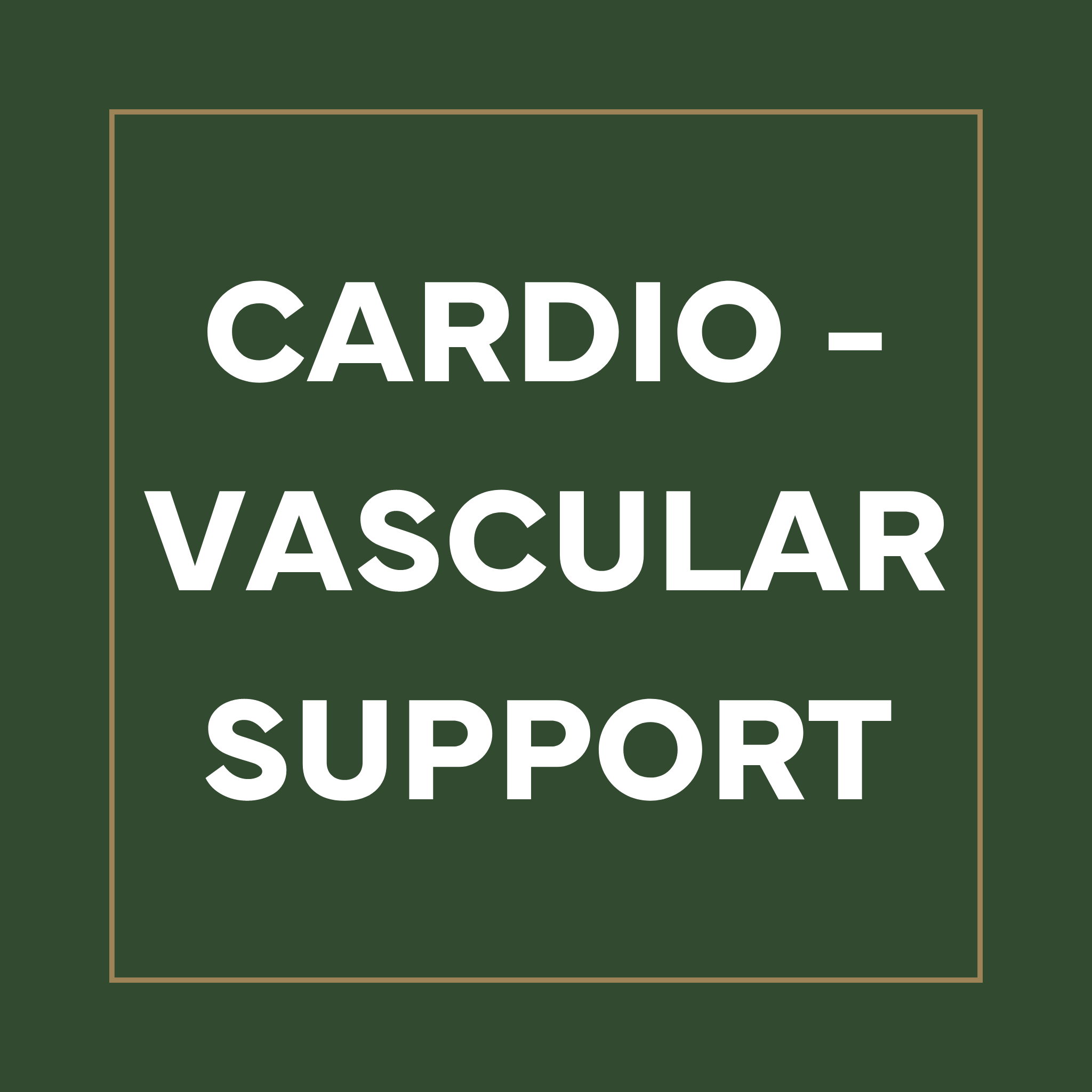 Cardiovascular Support – Sonoran University of Health Sciences | Medicinary